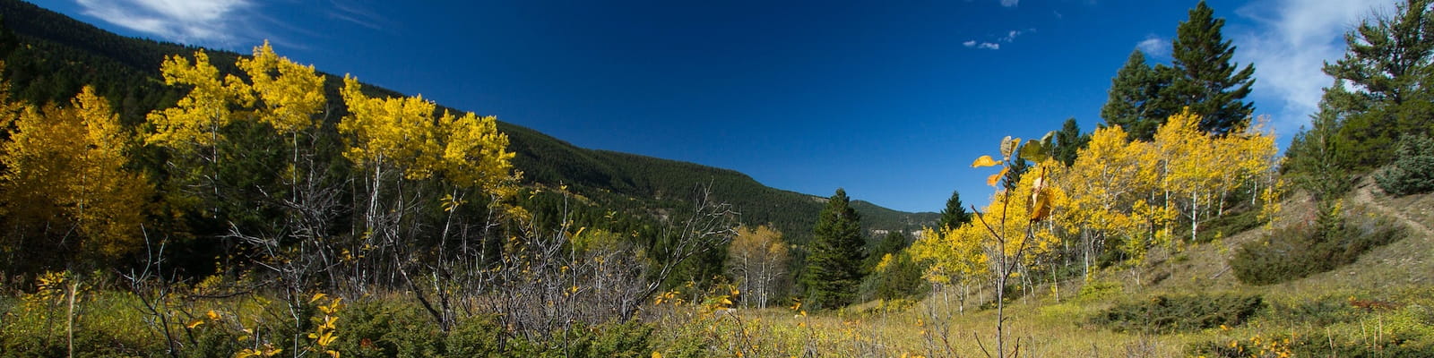 Clark National Forest